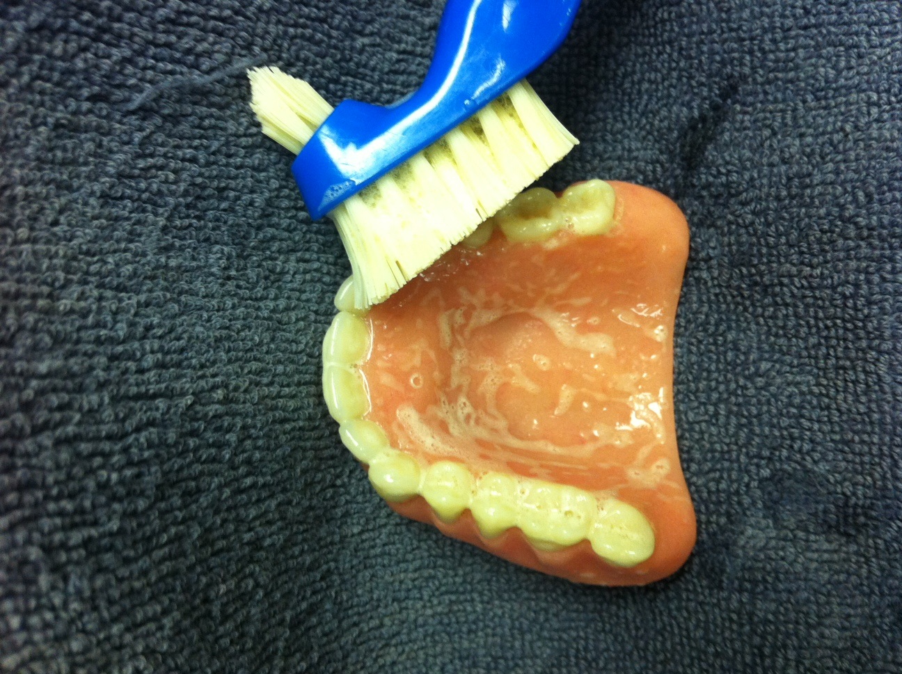 The Disgusting Truth: Poop on Your Toothbrush Isn't All to Worry About